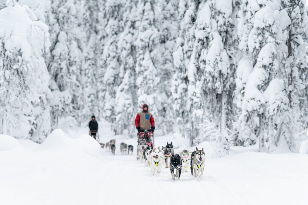 10 Best Things to Do in Swedish Lapland in Winter